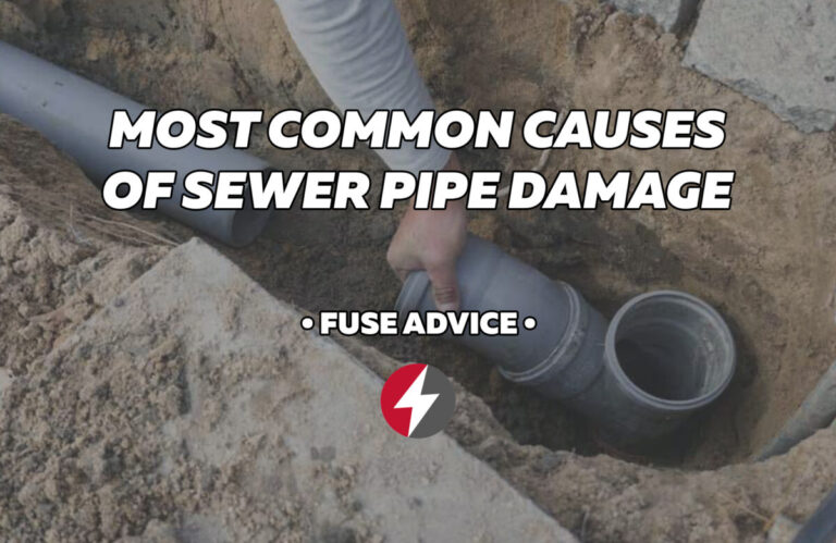 The Most Common Causes of Sewer Pipe Damage